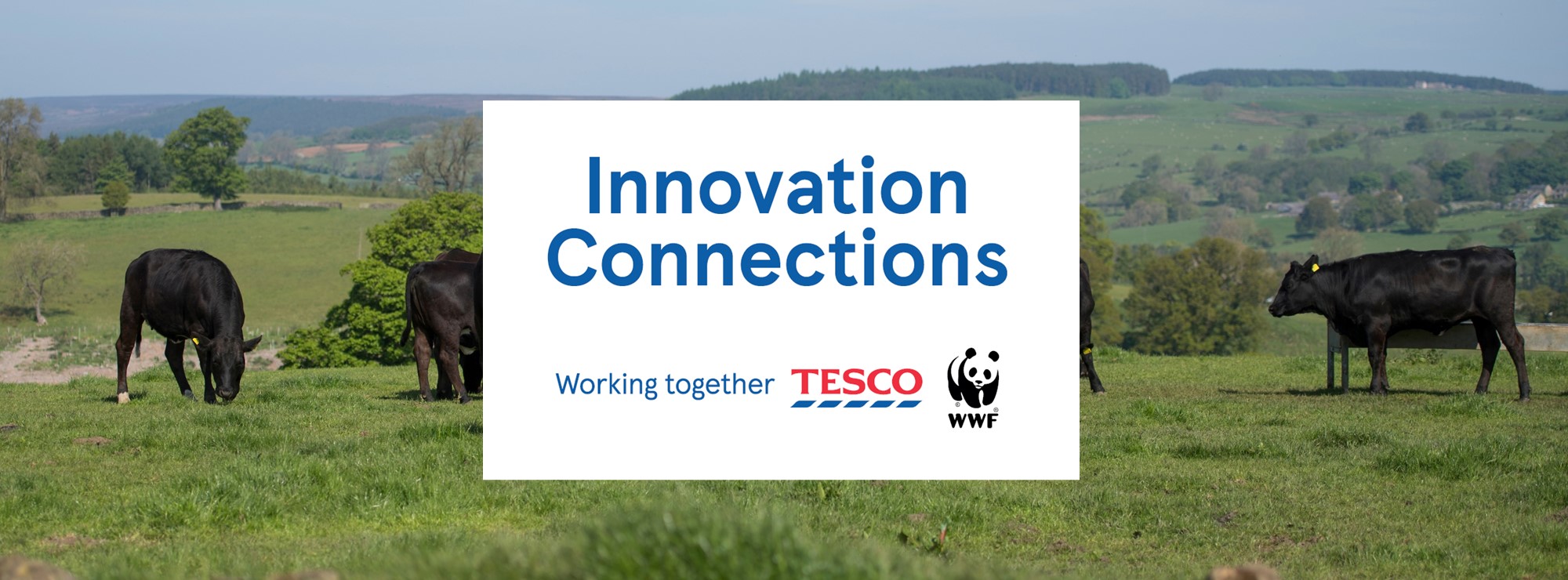 Tesco opens up supply chain to sustainability start-ups