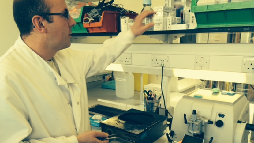 Searching for a cancer cure