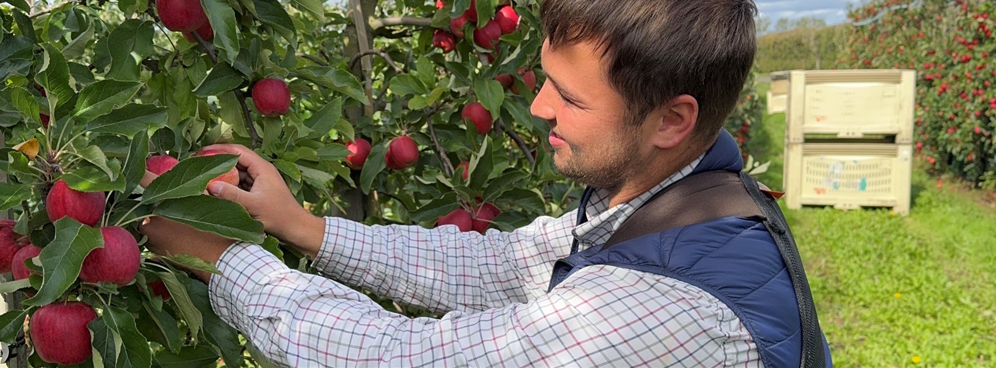 Tesco partners with Be My Eyes to bring accessible support to customers ...