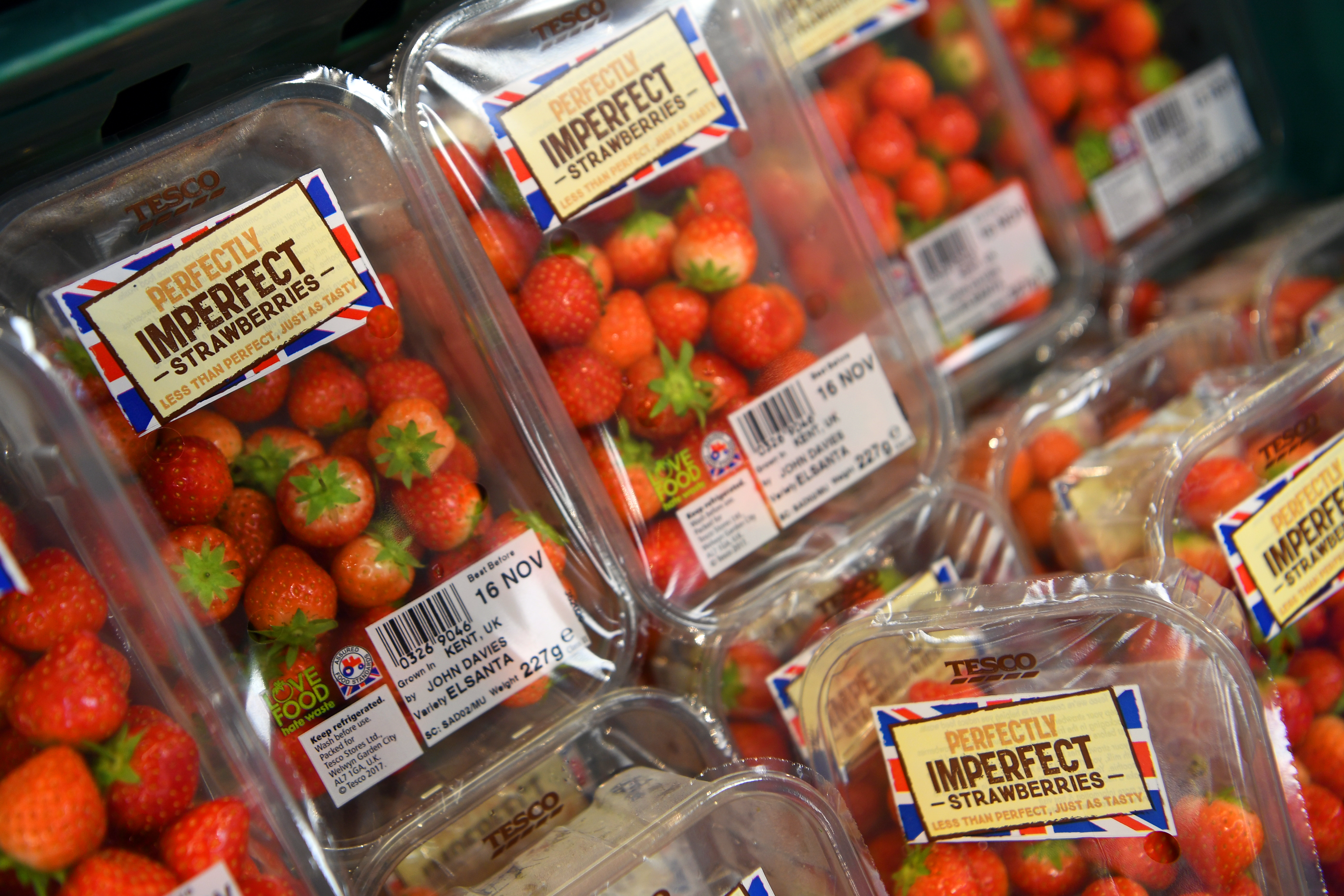 Food waste and redistribution Factsheet 2024