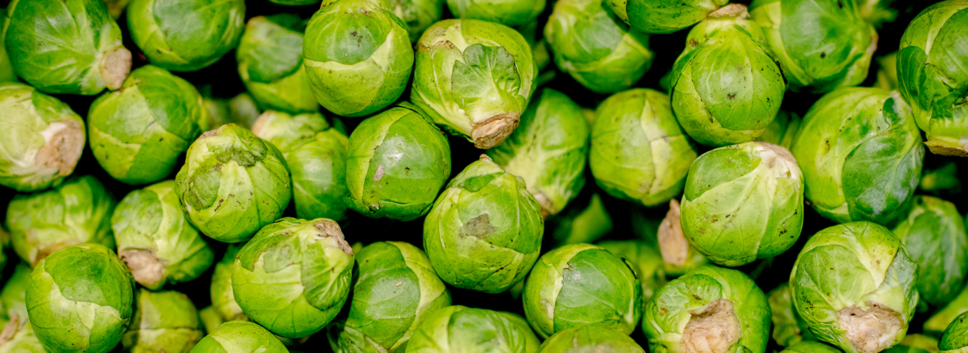 The ultimate superfood? It’s the brussels sprout – video