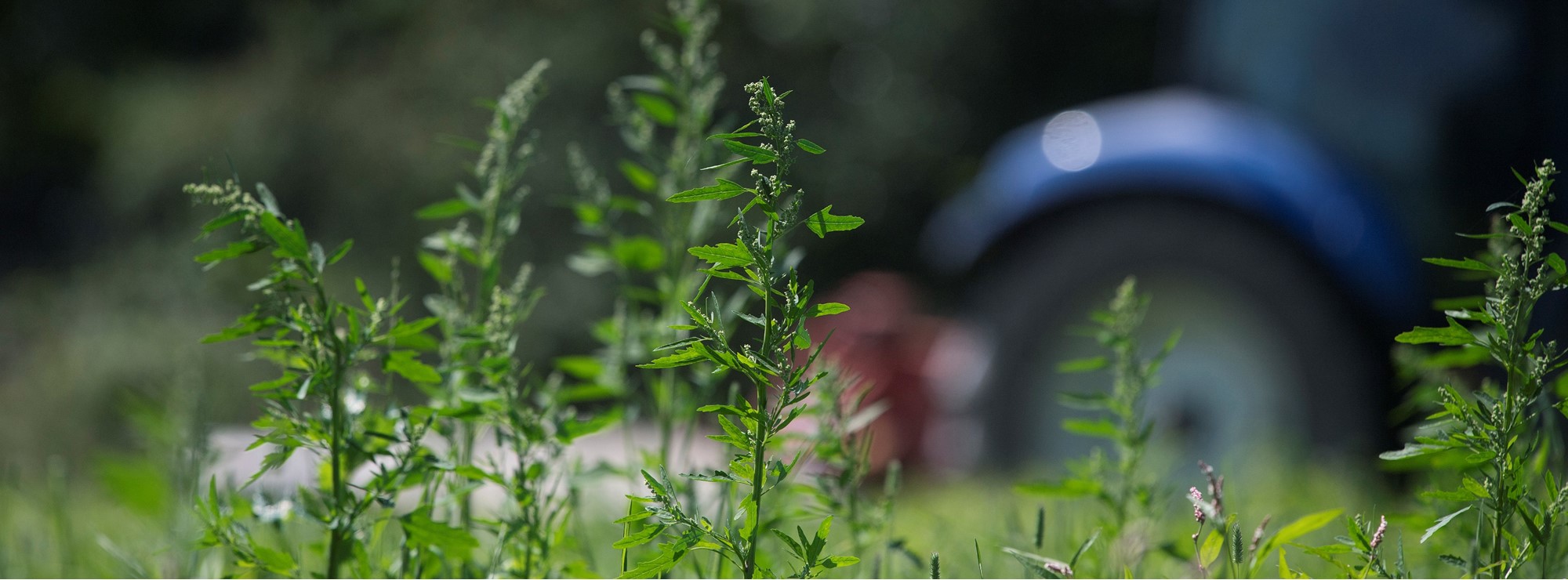 Sustainability - Tesco PLC