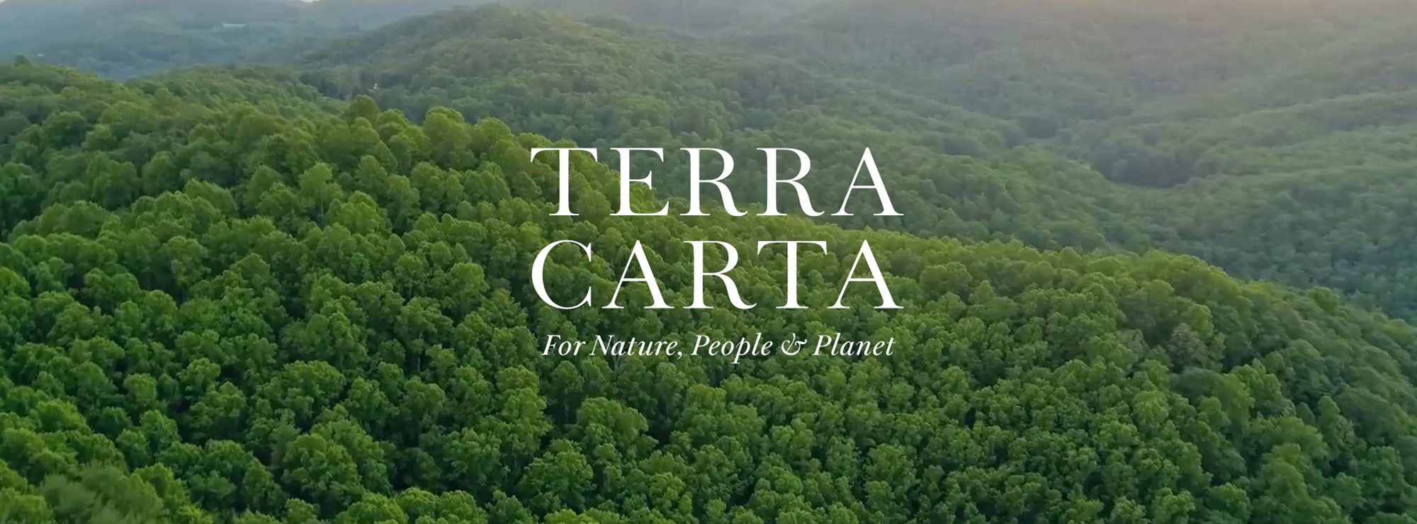 Tesco receives royal approval for its approach to sustainability in ...