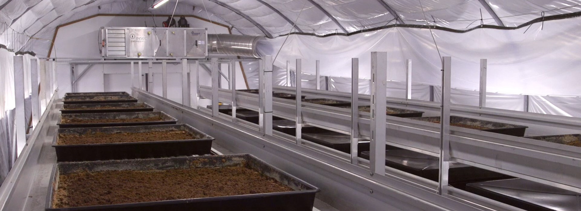 How Tesco is working to reduce food waste