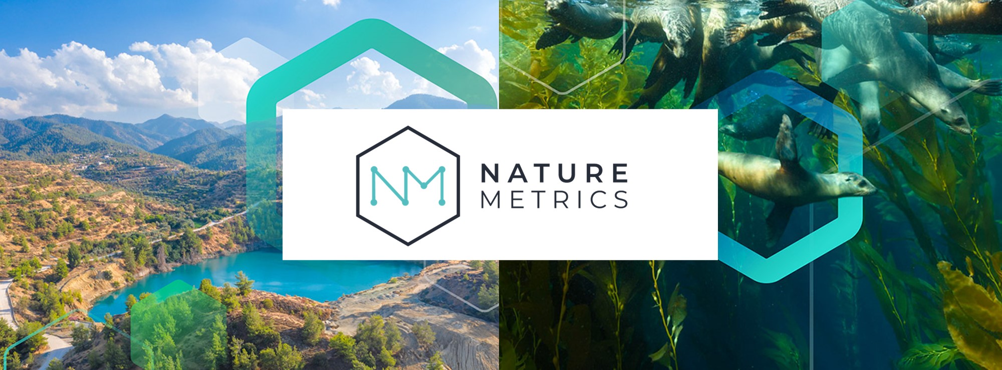 Startup NatureMetrics wins 2023 Tesco Agri T-Jam competition and the ...