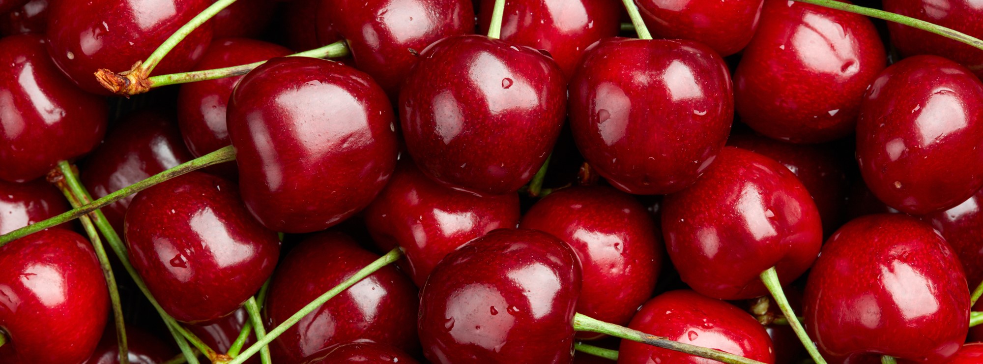 Great UK cherry crop on the way after perfect Spring growing conditions