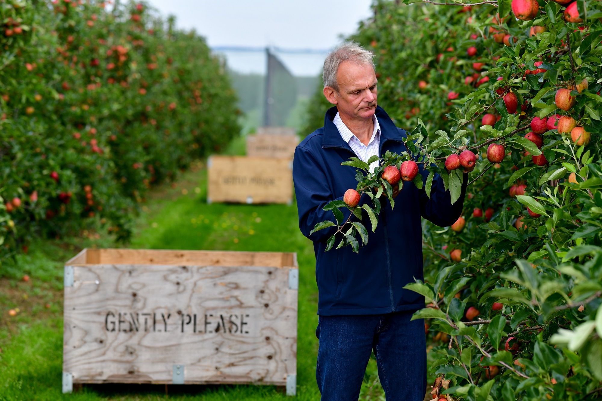 Reducing food waste – our partnership with apple supplier Adrian Scripps