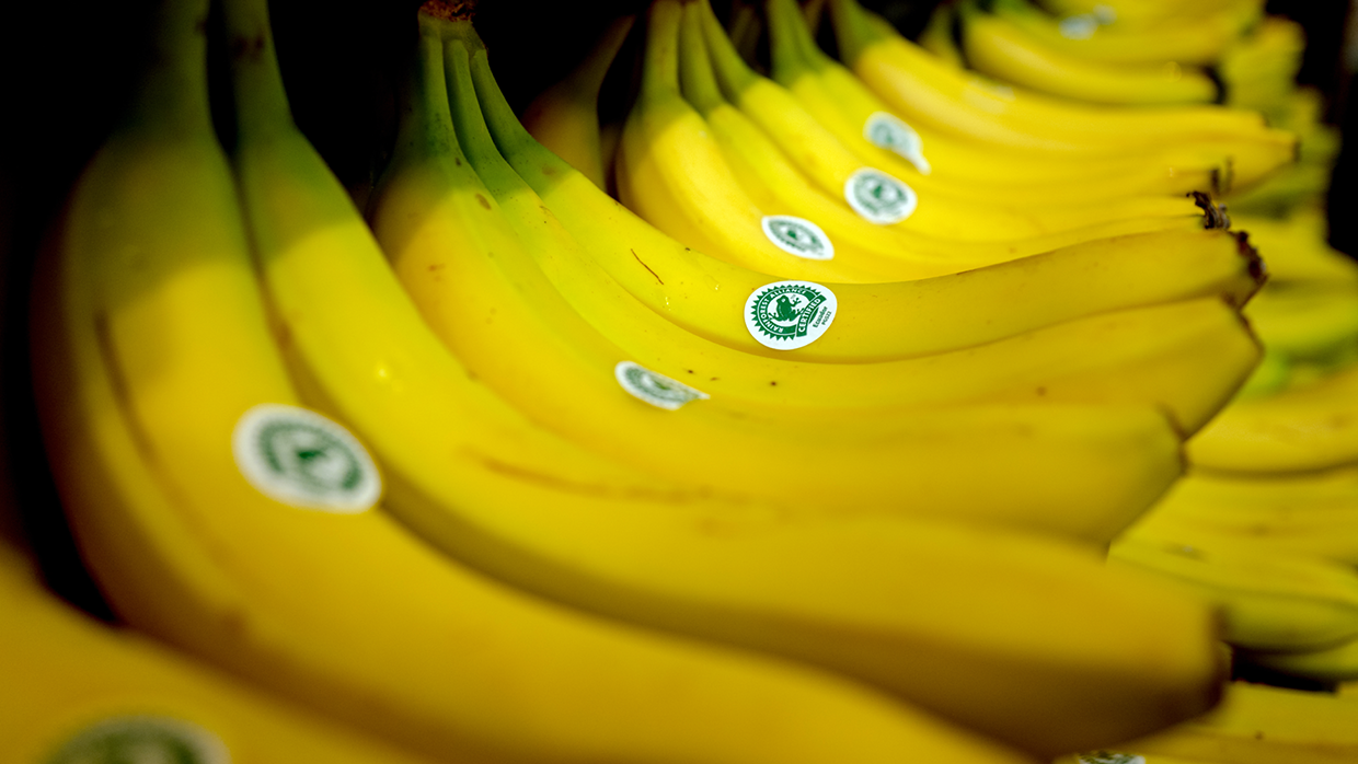 Increasing the number of Rainforest Alliance Certified products on our ...
