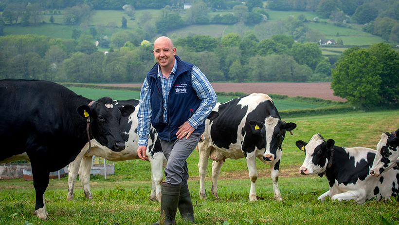 Tesco’s Sustainable Dairy Group Farmers to benefit from increased milk ...