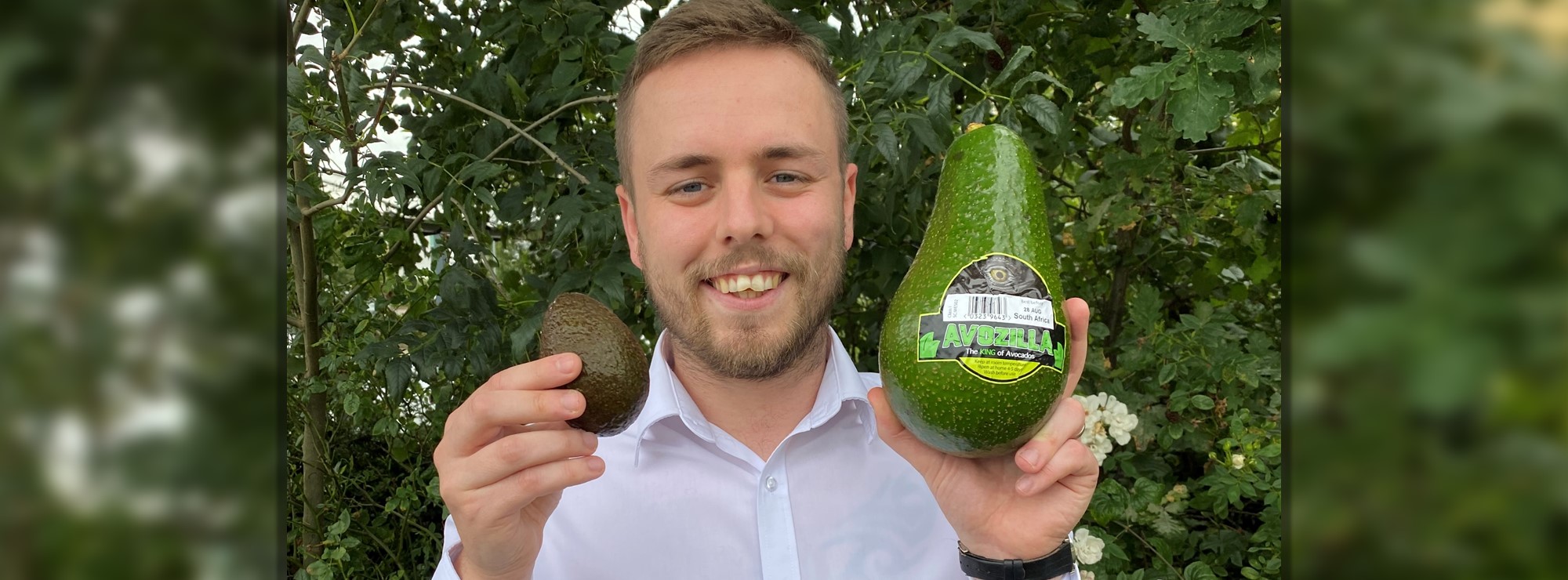 Avozillas to hit Tesco stores