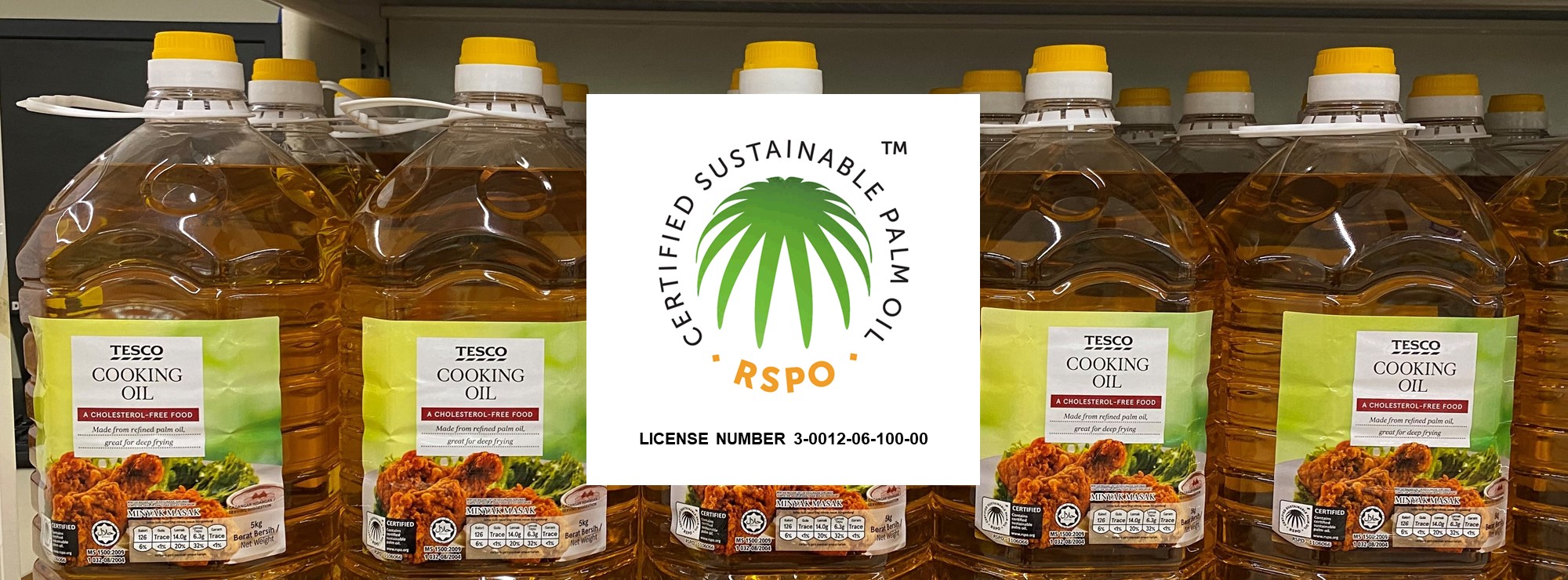 update-on-our-progress-on-sourcing-sustainable-palm-oil-achieving-100