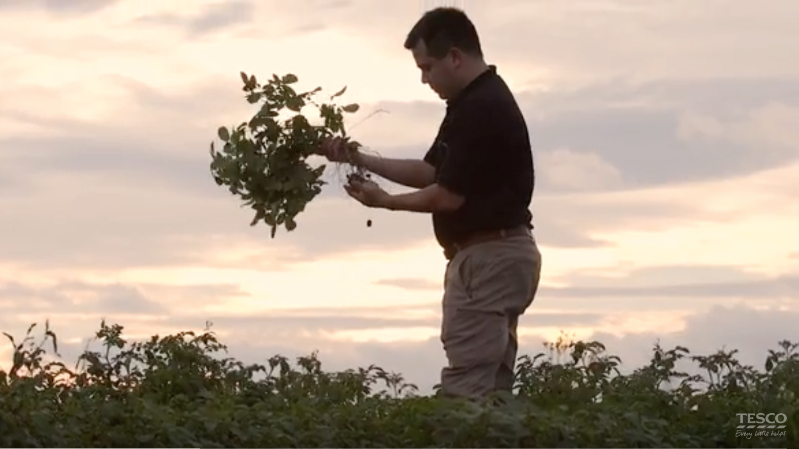 food waste reduction by bring our suppliers together at Tesco